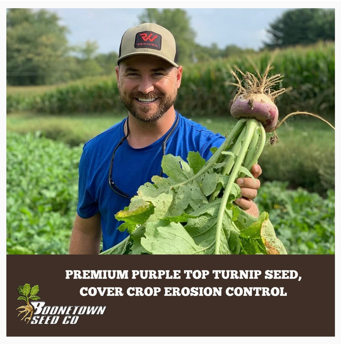 Tine Down Turnips - Food Plot Seed – Boonetown Seed Company